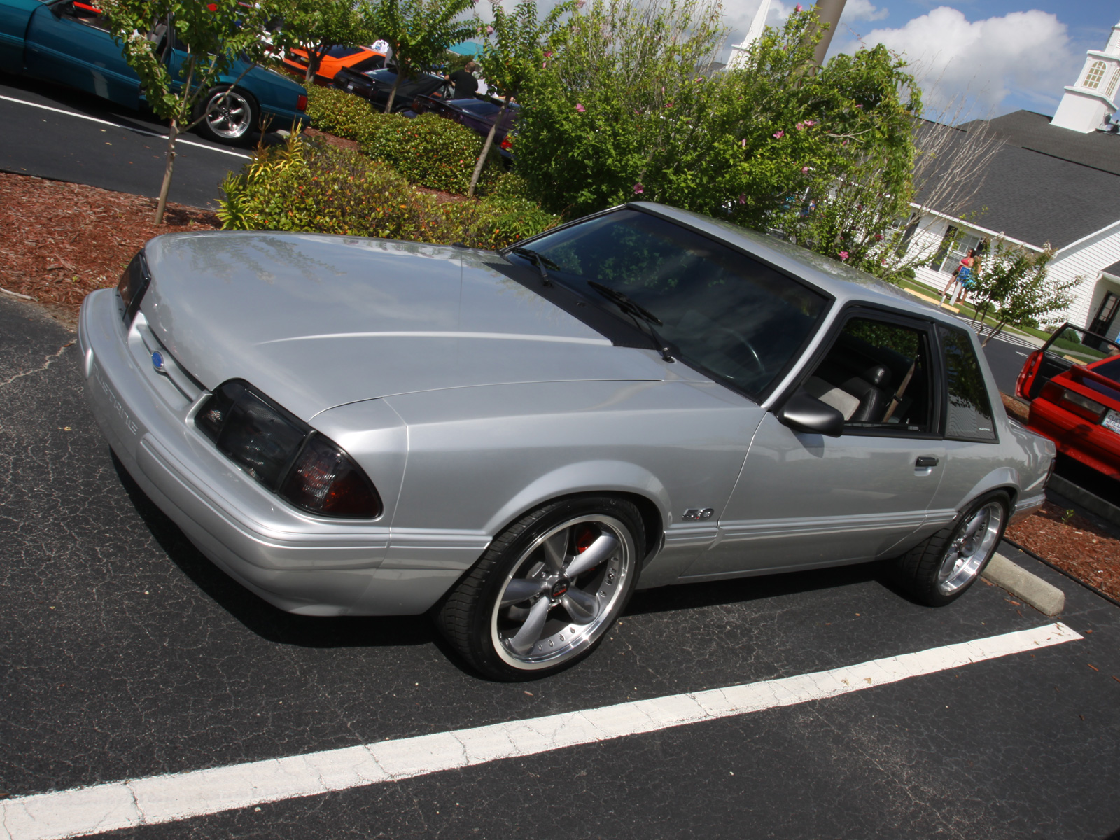 Silver Fox Body Mustang